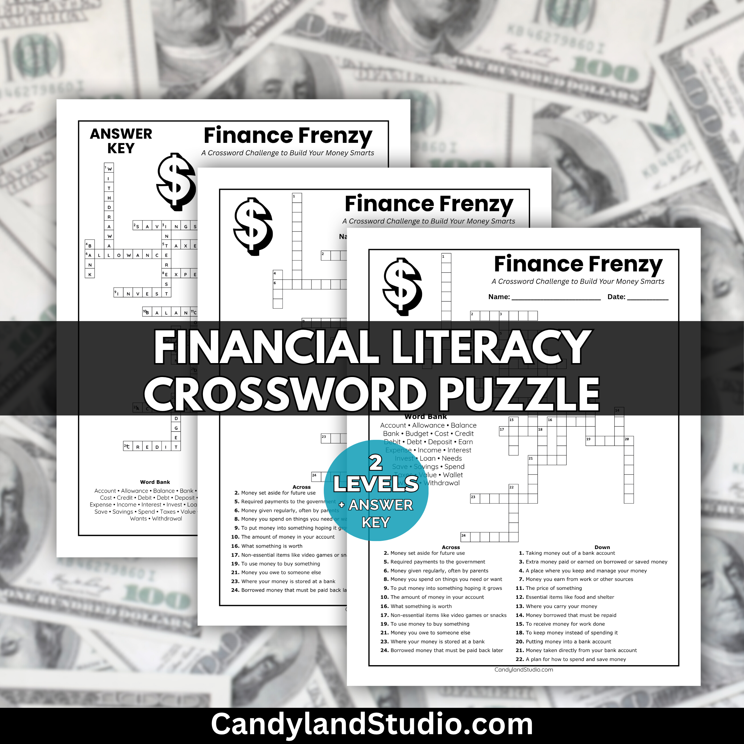 Financial Literacy Crossword – Budgeting Challenge & Money Skills ...